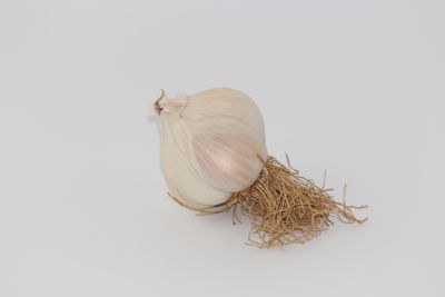 Ail en gousse